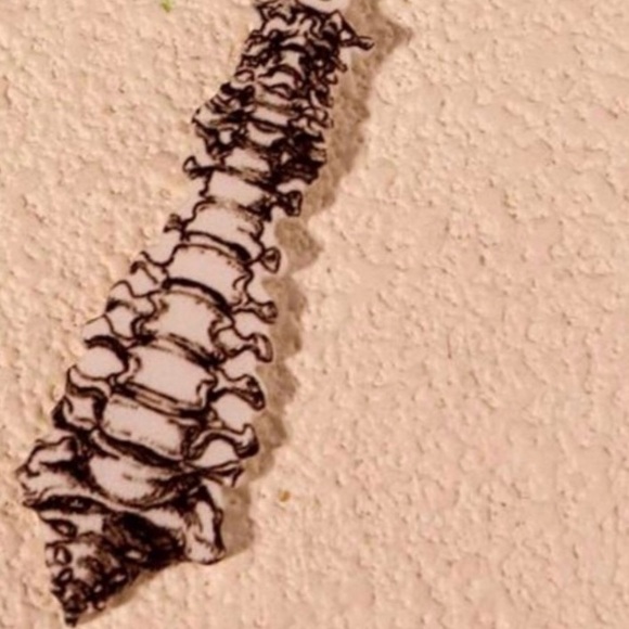 Jewelry | Spinal Column Spine Cord Anatomy Anatomical Drawing Doc Nurse ...